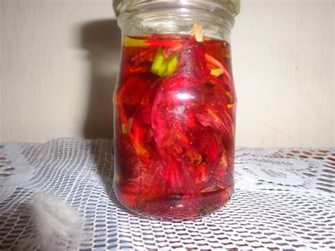Natural Hair Health Beauty Make Your Own Hibiscus Hair Growth Oil