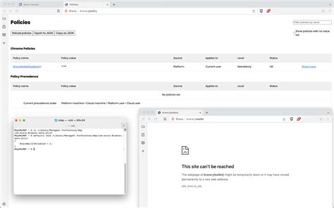 Add A Policy Option To Disable Brave Wallet · Issue 25383 · Brave Brave Browser · Github