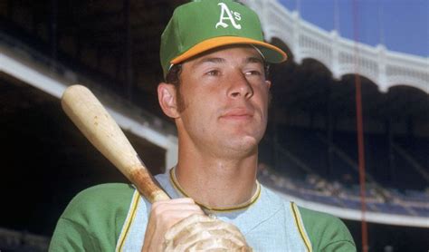 Gene Tenace The Baseball Scholar