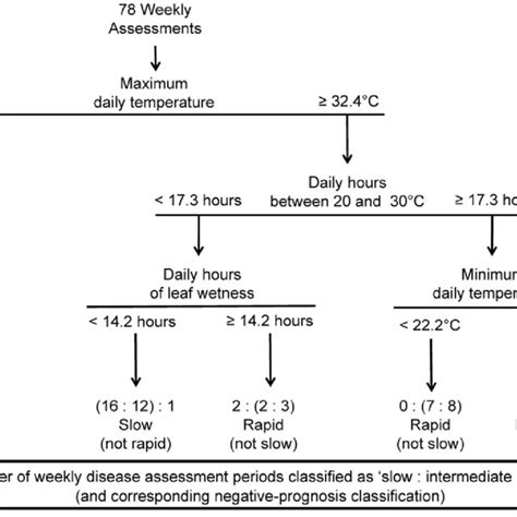 Classification And Regression Tree Cart Model For Classifying
