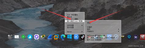 电脑桌面美化（win10）nexus桌面插件 Csdn博客