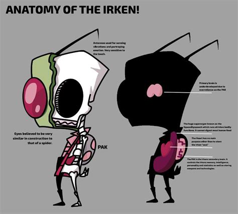 The Irken Anatomy R Invaderzim