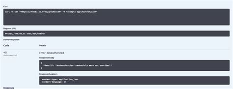 Never Prompted For Authentication · Issue 3774 · Swagger Apiswagger