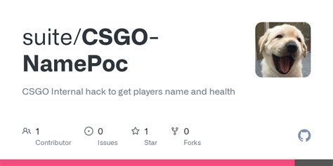 GitHub Suite CSGO NamePoc CSGO Internal Hack To Get Players Name And