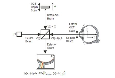 Standard Oct Scheme Based On A Low Time Coherence Michelson Interferometer Download Scientific
