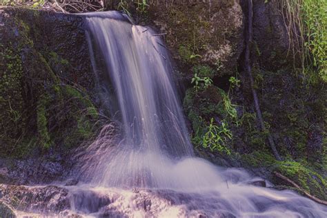 개울 물 물을 튀기다 밀림 숲 열대의 움직임 이국적인 작은 폭포 폭포에 관한 무료 스톡 사진