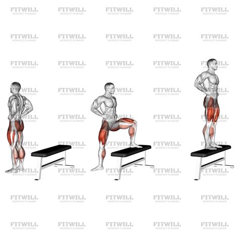 Transverse Step Up Exercise Guide Techniques Benefits How To Muscles Worked Tips And Tricks