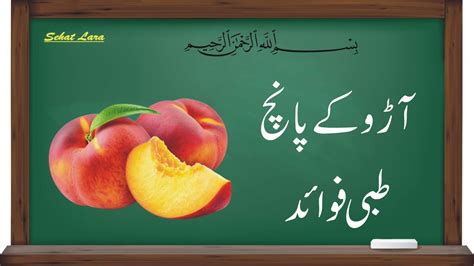 Aroo K 5 Tibbi Faiday Peach 5 Tibbi Benefits Urdu Youtube