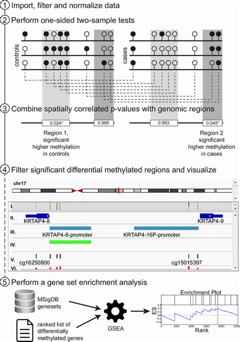 Workflow Is Illustrated On The Left Side As Five Steps Step Controls Download Scientific