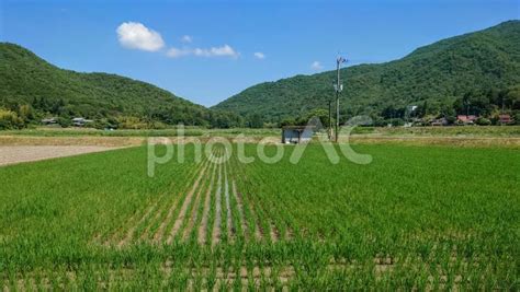 田園風景 No 26950435｜写真素材なら「写真ac」無料（フリー）ダウンロードok
