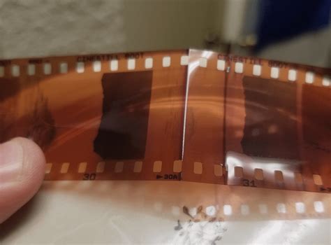 Odd Cinestill 800t Film Defect Ranalogcommunity