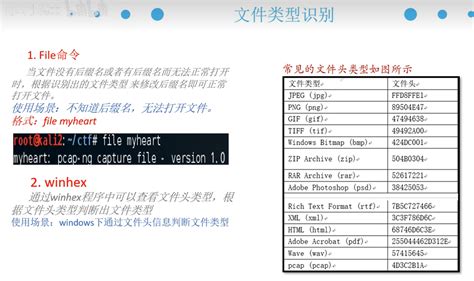【全75集】ctf零基础入门到精通教程，赛前必看！网络安全信息安全ctf夺旗 哔哩哔哩