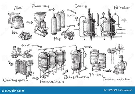 Vector Beer Infographics With Illustrations Of Brewery Process Stock Vector Illustration Of
