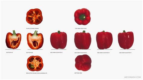 What Is Difference Between Plan Elevation And Elevation