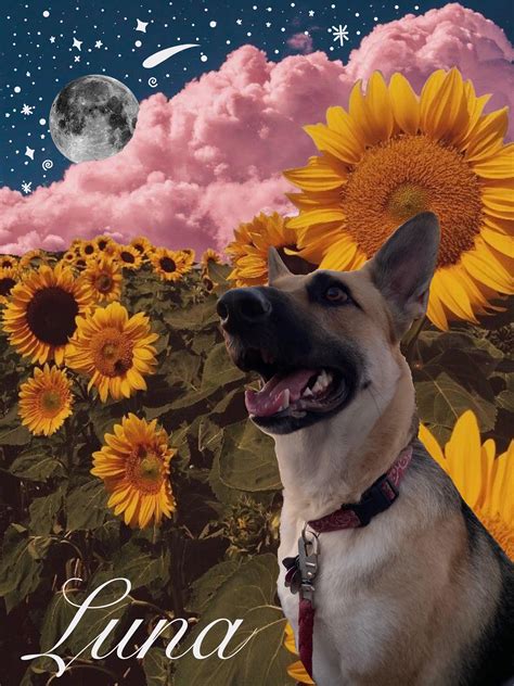 Procreate Edited My Girl Scrolller