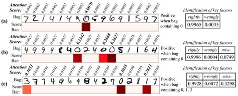 Attention Based Deep Multiple Instance Learning For Classifying Circular Rna And Other Long Non
