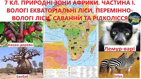 Географія 7 кл Урок 18 Африка Природні зони закономірності їх розміщення Частина І Youtube