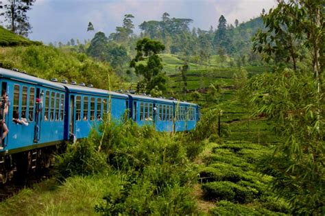 Train Tickets To Ella And Nanu Oya Kandy Project Expedition