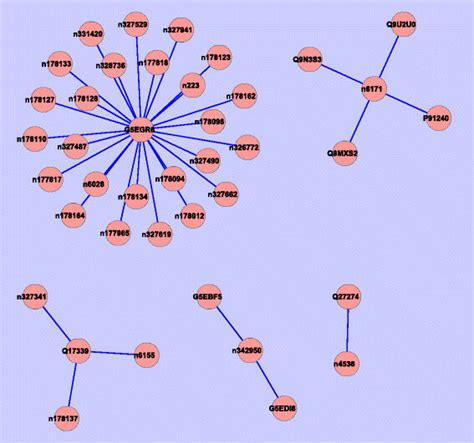 Interaction Network Clusters Of Mcl Clustering From Ncrna Network