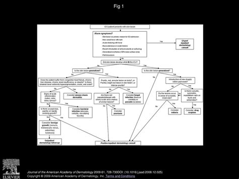 A Simple Algorithm For Evaluating Dermatologic Disease In Critically
