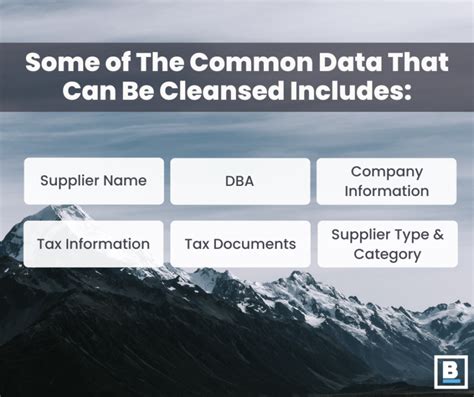 Data Cleansing Best Practices MyBedrock