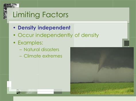 Limiting Factors Examples Biology