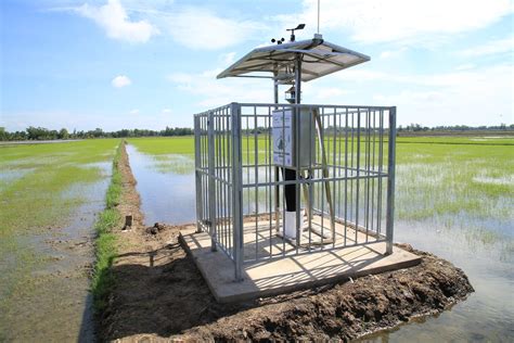 Insect Monitoring System — Rynan Agriculture