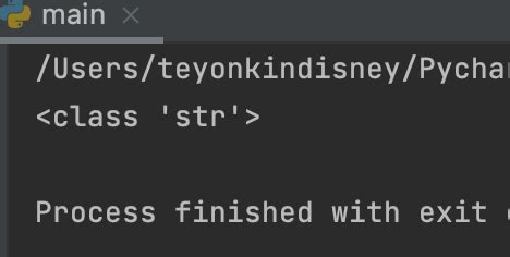 파이썬 데이터형 확인하기 데이터 타입 확인하기 type 파이썬 입문 Python EVERDEVEL