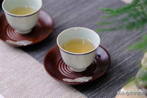 绿茶多少温度泡教你正确冲泡方法