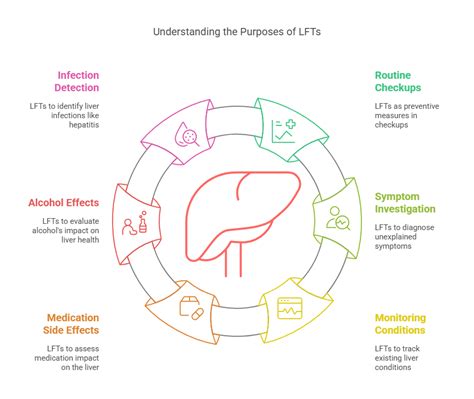 Understanding Liver Function Tests Lfts And Abnormal Results Healthcareontime