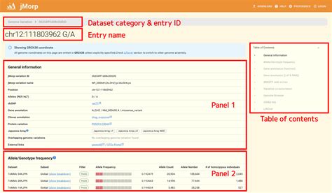 15 The Layout Of Item Pages — Jmorp User Guide Documentation