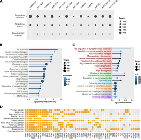 Retrocopy Derived Mirnas Retro Mirs Target Genes Are Involved In Key Download Scientific