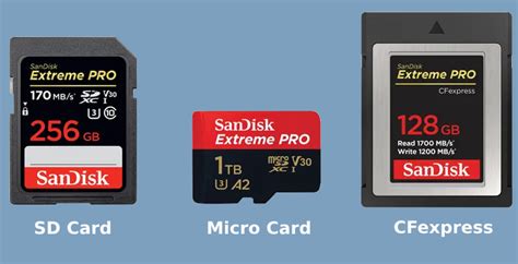 Camera Memory Cards Essential Knowledge For Photography Beginners