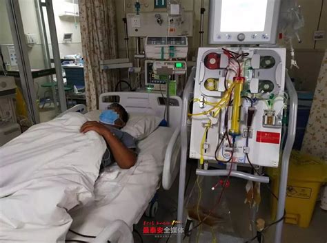 中毒泰安一对夫妇吃了自采蘑菇仍在抢救医生提醒最好的预防就是不吃 食用