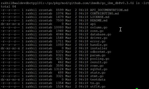 Linux And Windows Have Different Access Permissions On Package Folders