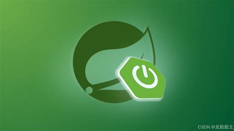 如何在 Spring Boot 的配置文件中使用环境变量？spring Boot配置文件引用环境变量 Csdn博客