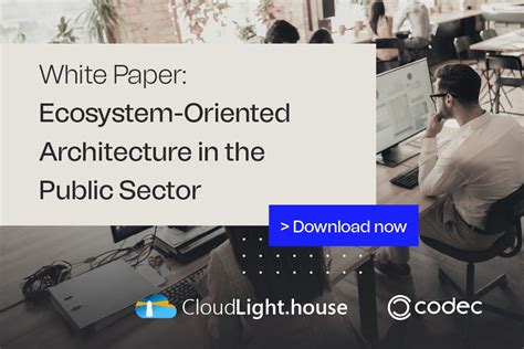 codec on linkedin white paper ecosystem oriented architecture in the public sector usa