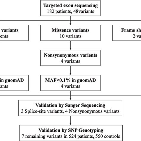 The Process Of Variant Filtration Download Scientific Diagram