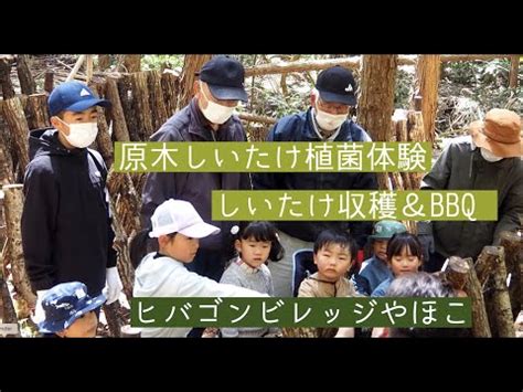 原木しいたけ植菌体験会 YouTube