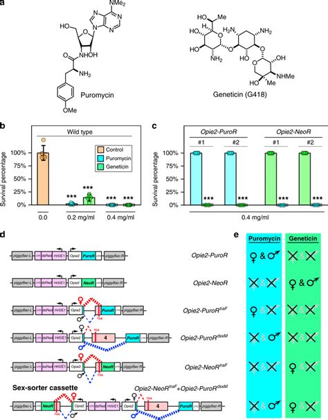 Development Of Sex Sorter Cassette In Drosophila A Chemical Structures