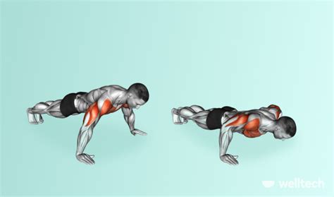 The Ultimate Chest And Bicep Workout To Feel The Pump Welltech