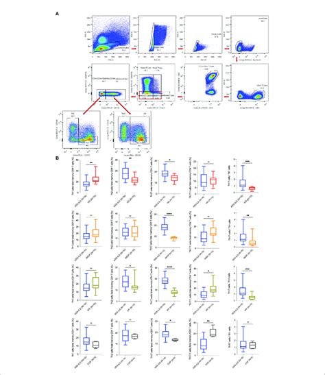 Flow Cytometry Experiments A Representative Flow Cytometry