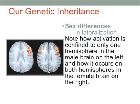 General Psych Neurobiological Bases Ppt