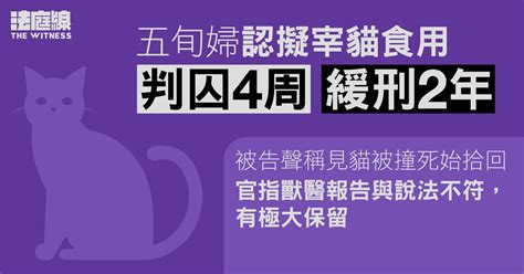 五旬婦認擬宰貓食用 官指沒證據殺貓或虐待 判囚4周緩刑2年 法庭線 The Witness