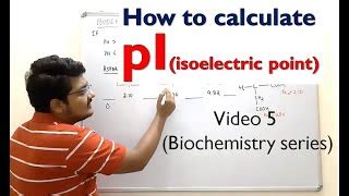 PH PI PKa PKb Of Amino Acids Doovi