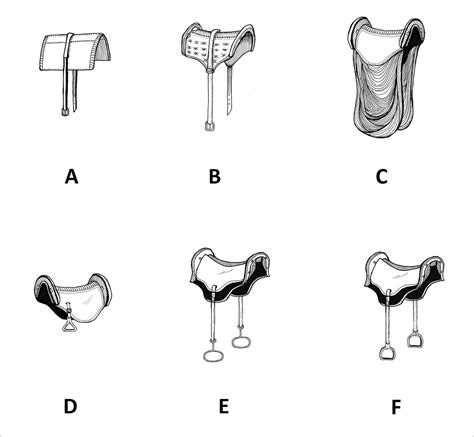 ФОТО Монгол нутгаас олдсон хамгийн эртний эмээлийн судалгааны өгүүлэл Кембрижийн Их сургуулиас