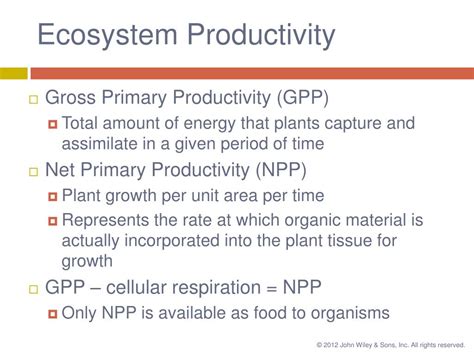 Ppt Ecosystems And Energy Powerpoint Presentation Free Download Id