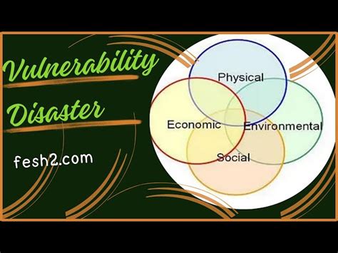 Vulnerability Disaster