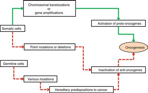 Oncogenesis Musculoskeletal Key