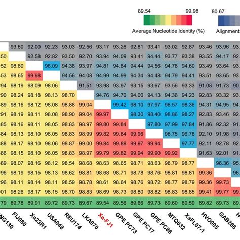 Heat Map Of Average Nucleotide Identity Ani And Alignment Coverage